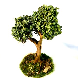 Detailed Wargaming Tree • Trees for Games in the 15 Mm, 28mm/32mm Scale ...