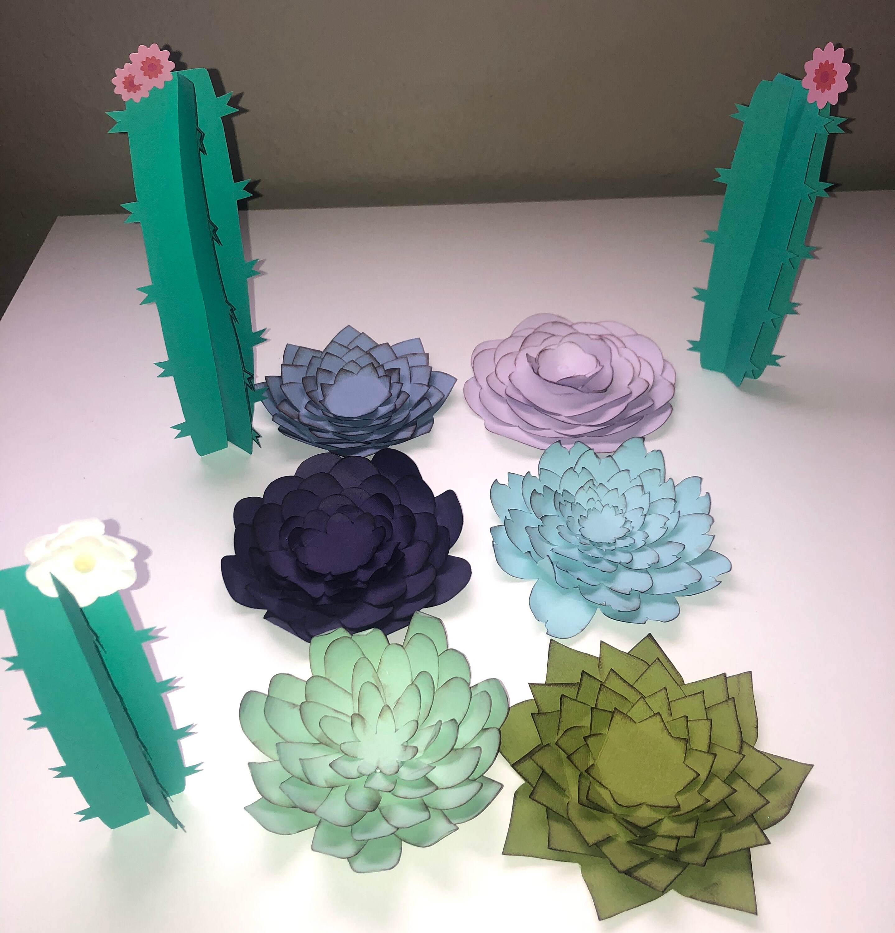 DIY Paper Succulents Patterns w/ Bonus Cactus | Etsy