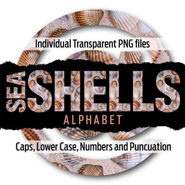 Seashells - Etsy