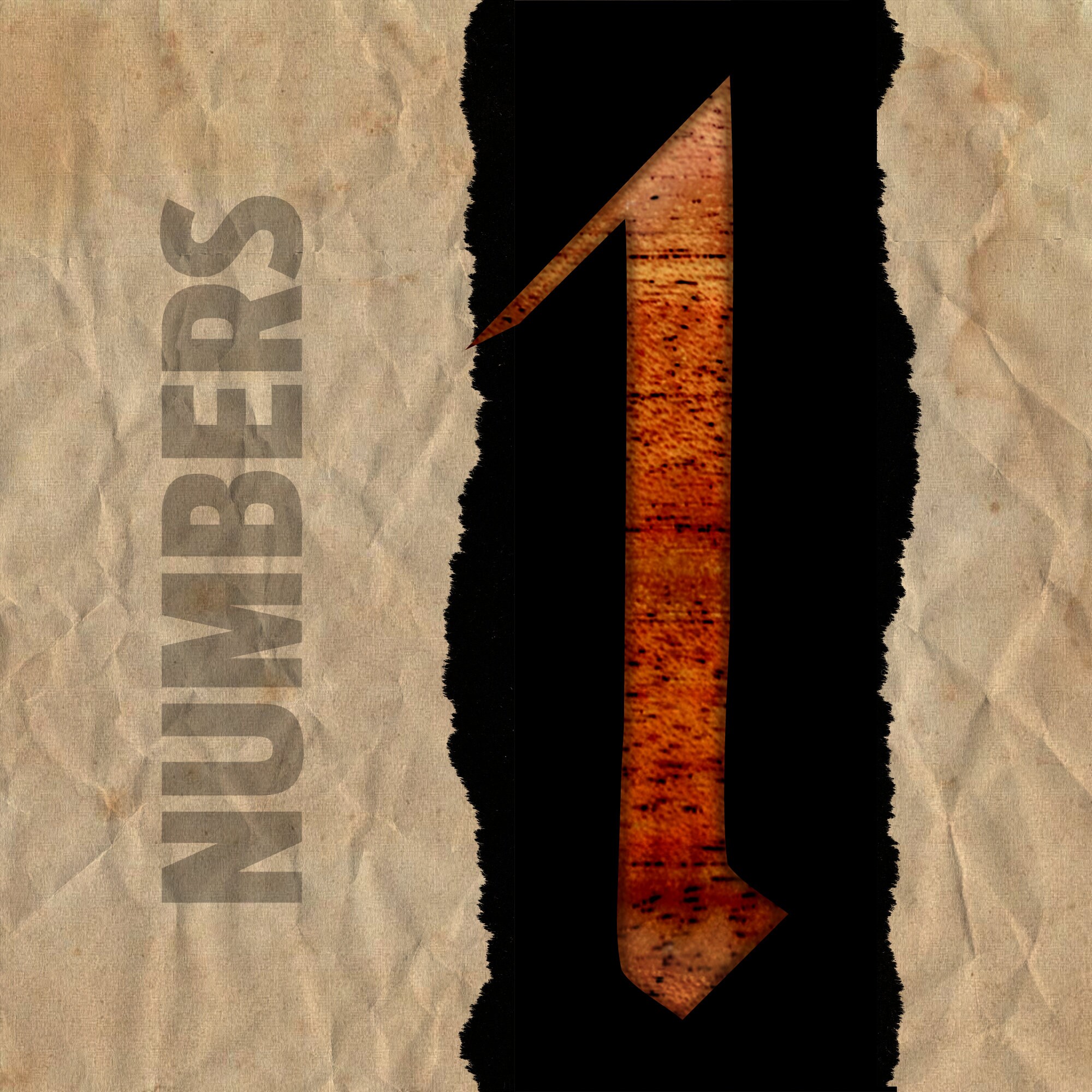 CLASSIC CALLIGRAPHY Alphabet 14: Transparent Png Files - Etsy