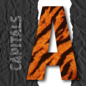 TIGER Alphabet 23: Printable Transparent Png Files Clip Art Cut Files ...