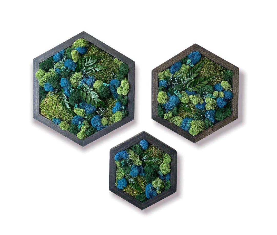 Moss Wall Art, Moss Art Wall Decor, Hexagon Moss Art, Honeycomb Wall ...