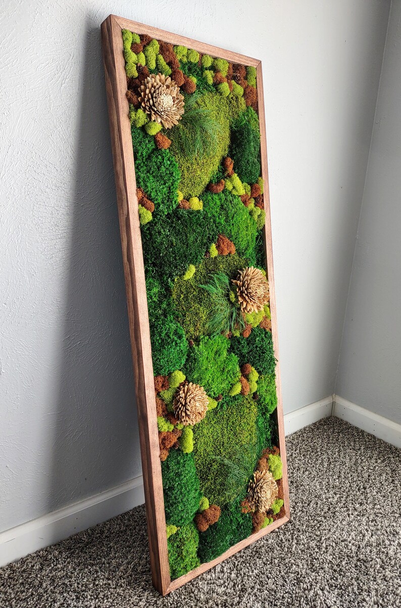 Moss Wall Art Large Preserved Moss Frame Living Wall Plant | Etsy