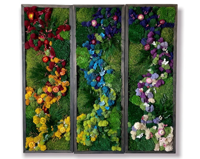 Moss Wall Art, Large Living Wall, Preserved Moss Artwork, Framed Moss ...