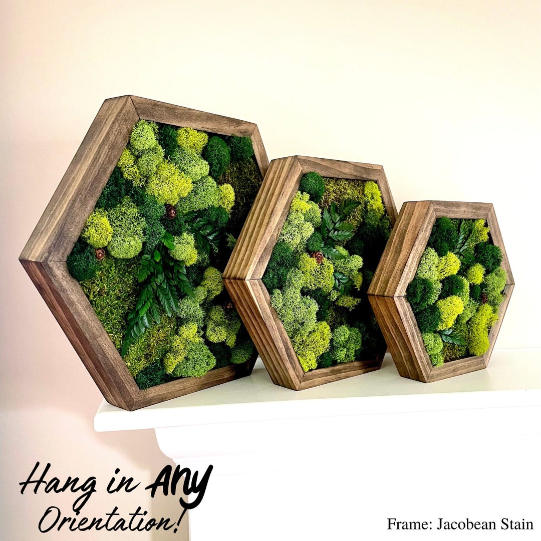 Moss Wall Art, Hexagon Moss Art, Honeycomb Wall Artwork, Preserved Moss ...