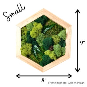 Moss Wall Art, Hexagon Moss Art, Honeycomb Wall Artwork, Preserved Moss ...