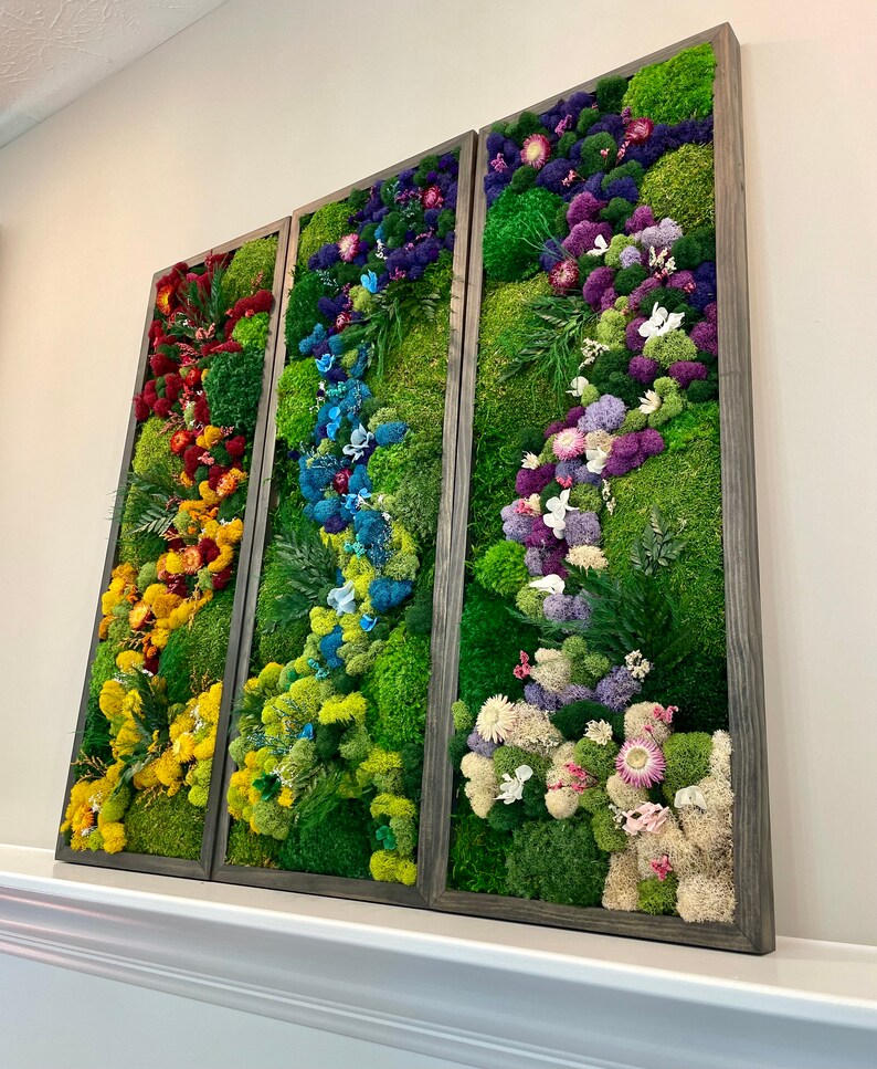 Moss Wall Art Large Living Wall Preserved Moss Artwork - Etsy