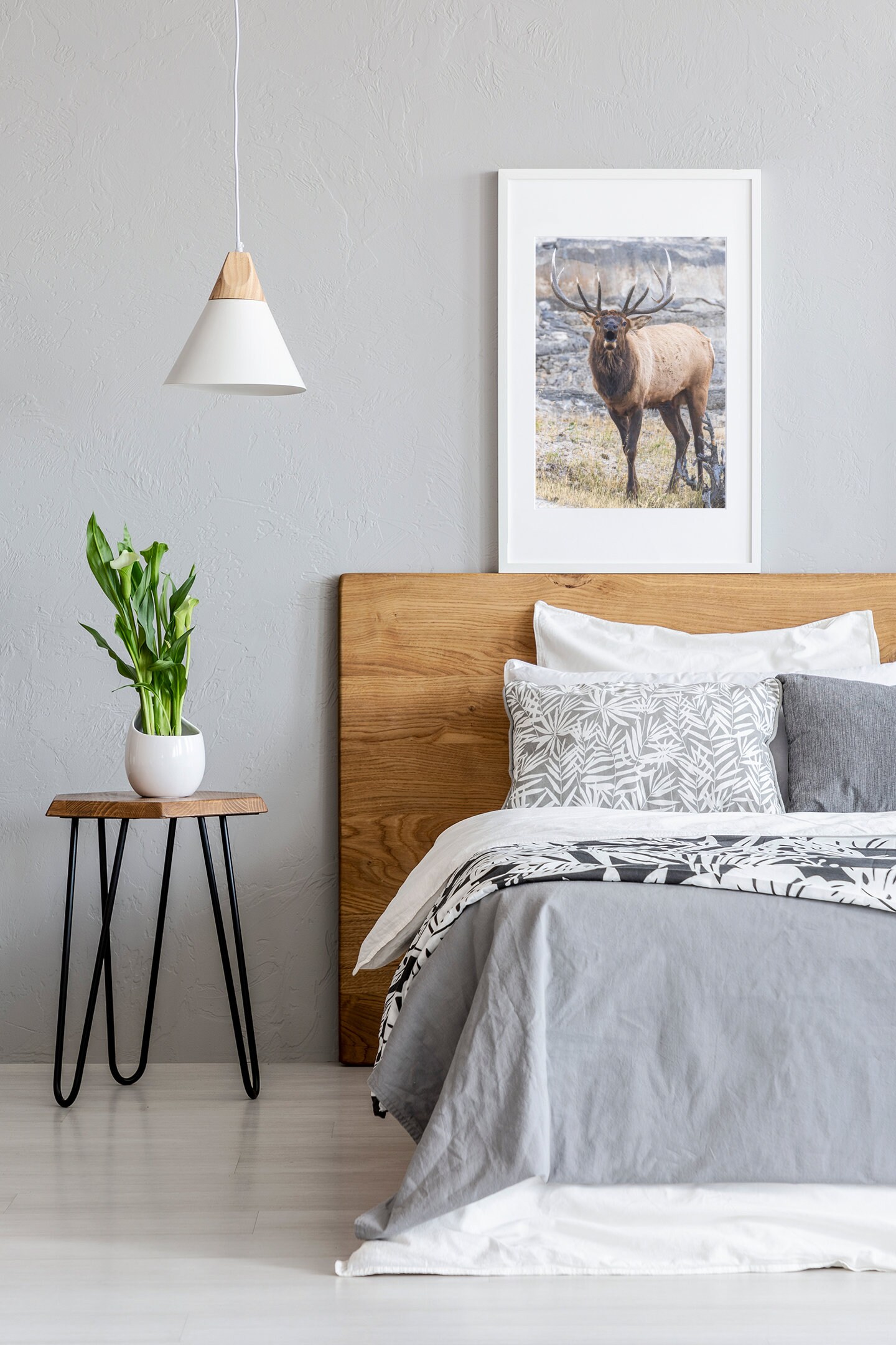 Screaming' (bugling Elk Print) - Etsy