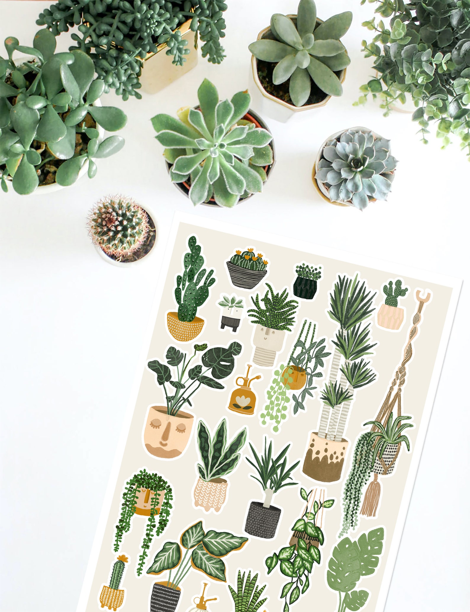 House Plant Collection Poster Illustration Print - Etsy