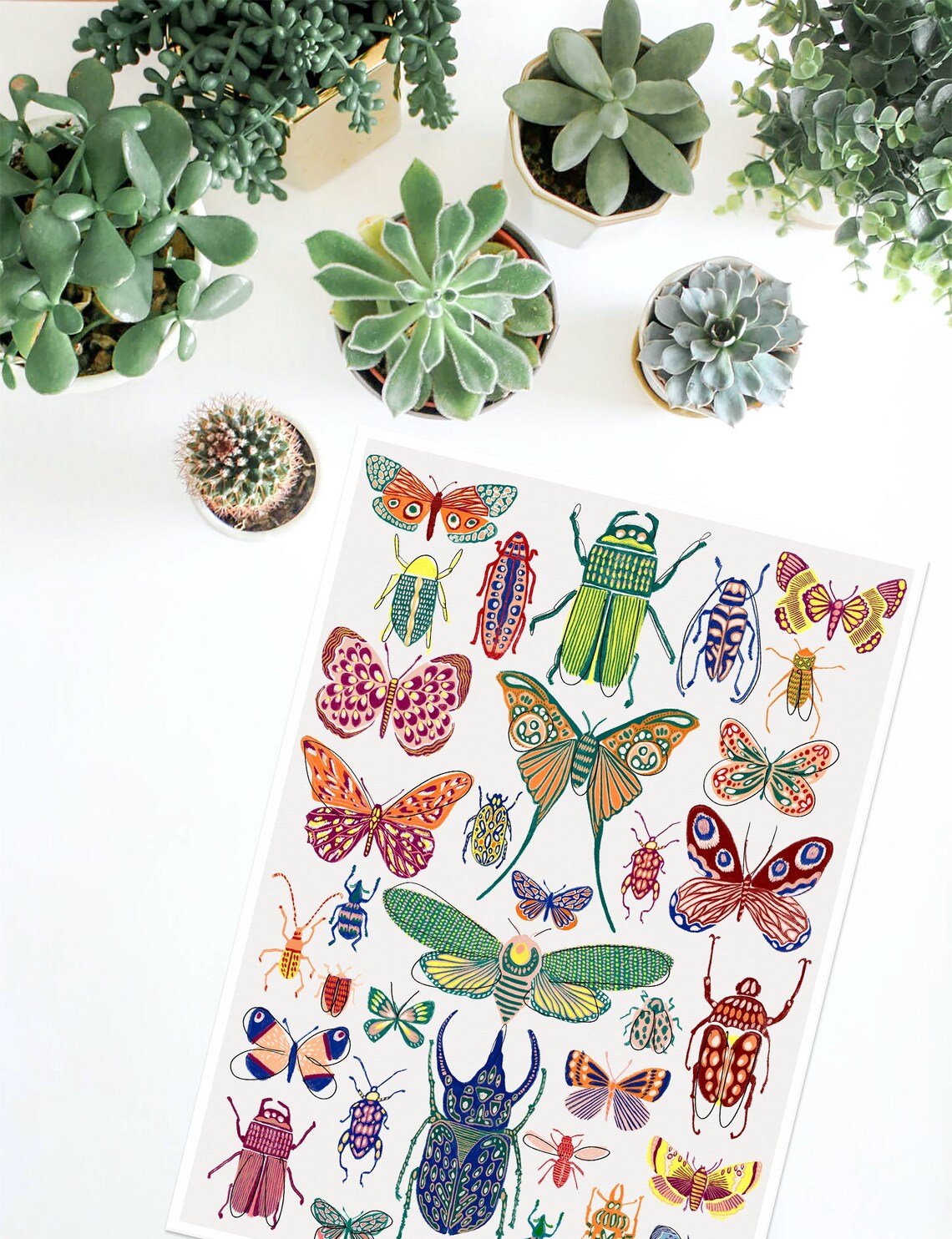 Insect Entomology Study Poster Illustration - Etsy