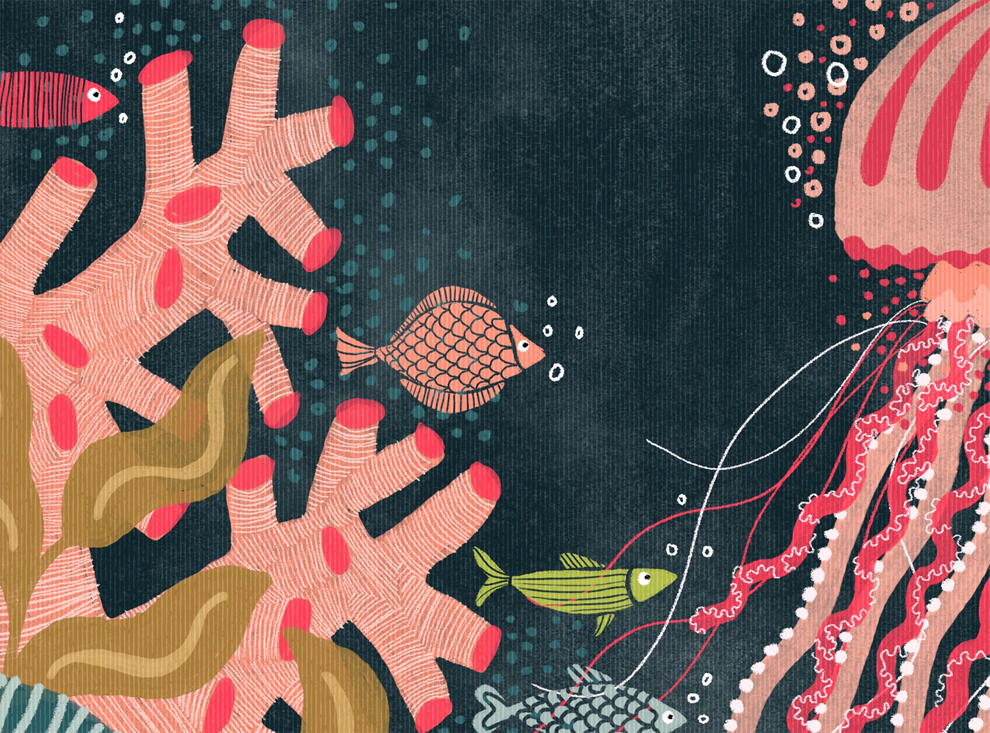 Bright Ocean Marine Life Jellyfish Print - Etsy