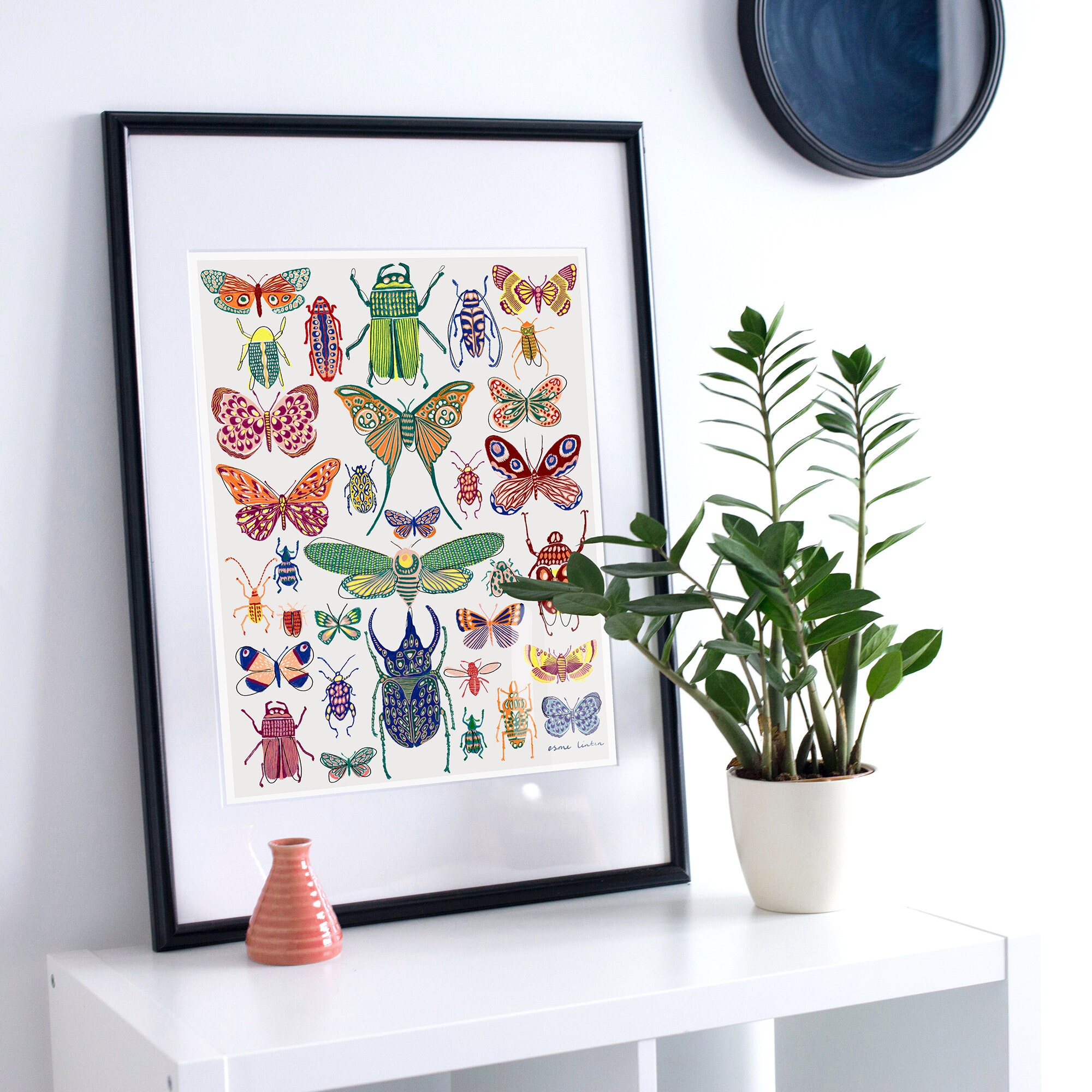 Insect Entomology Study Poster Illustration - Etsy