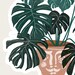 Monstera House Plant Funny Print - Etsy