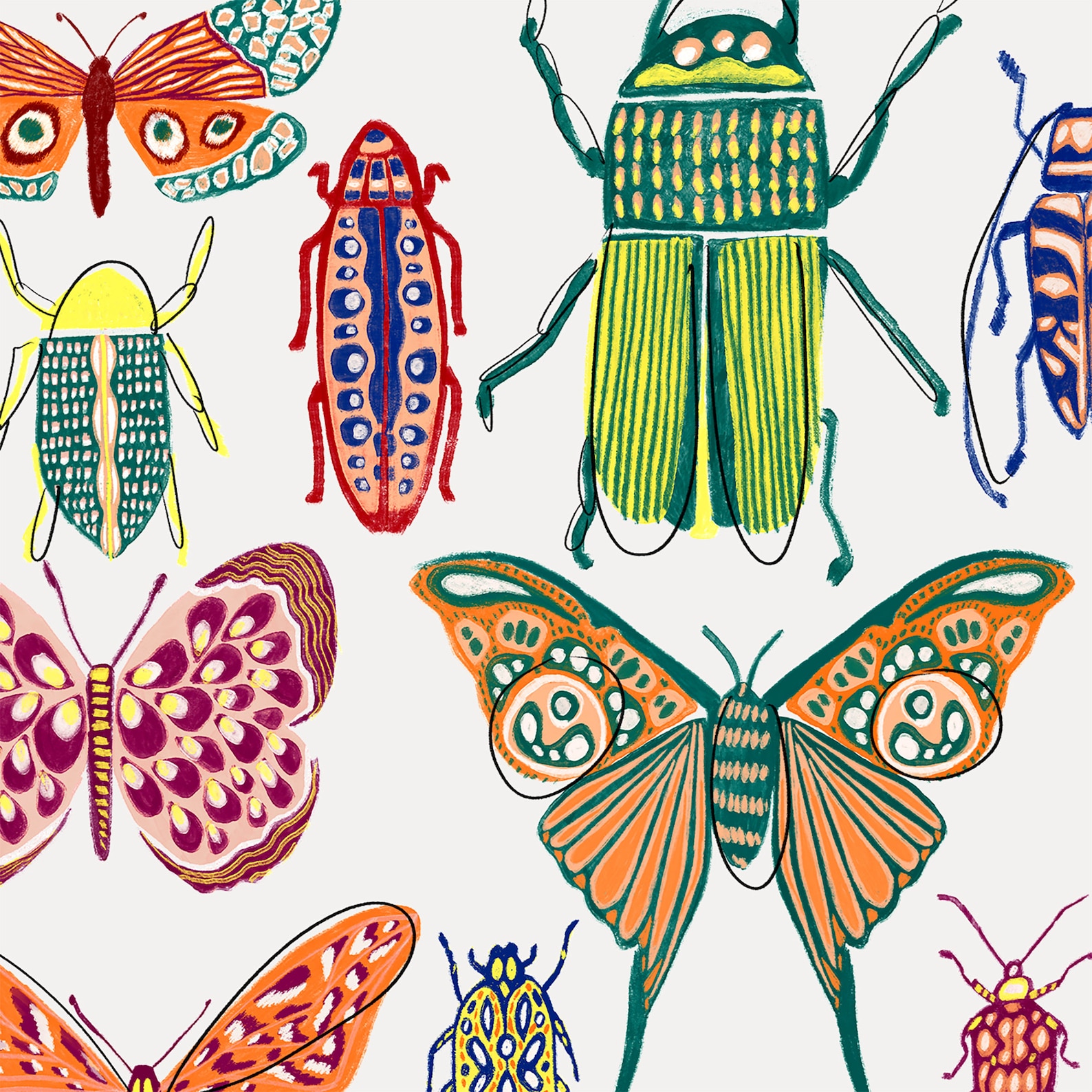 Insect Entomology Study Poster Illustration | Etsy