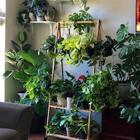 Monstera Plant Tower - Modular - Expandable Vine Support - Etsy