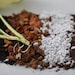 Chunky Aroid Mix Potting Soil - Monstera Soil Mix - Best Indoor Potting ...