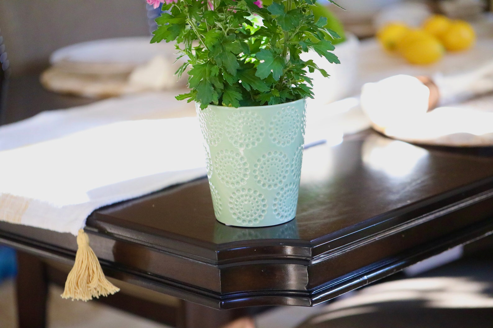 Ceramic Pot 5.5 Indoor Plant Ceramic Pot Ceramic Plater - Etsy