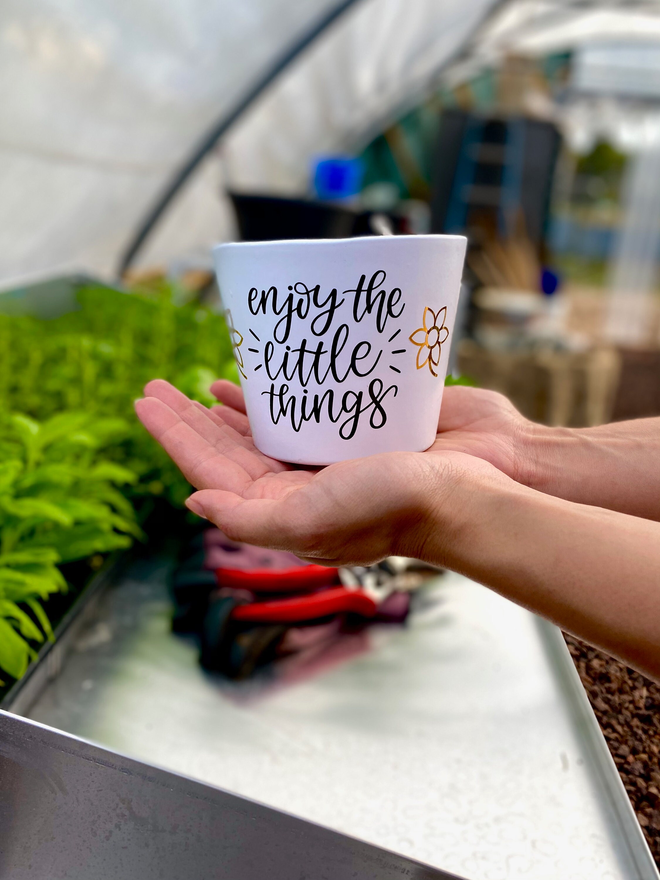 Personalised Garden Grow-your-own Kit / Complete Kit to Start Gardening ...