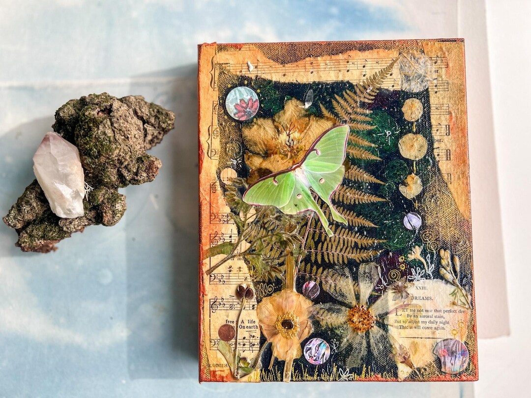 Original Collage Art by Manda Marble, Moth Artwork, Luna Moth Moon ...