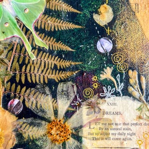 Original Collage Art by Manda Marble, Moth Artwork, Luna Moth Moon ...