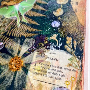 Original Collage Art by Manda Marble, Moth Artwork, Luna Moth Moon ...