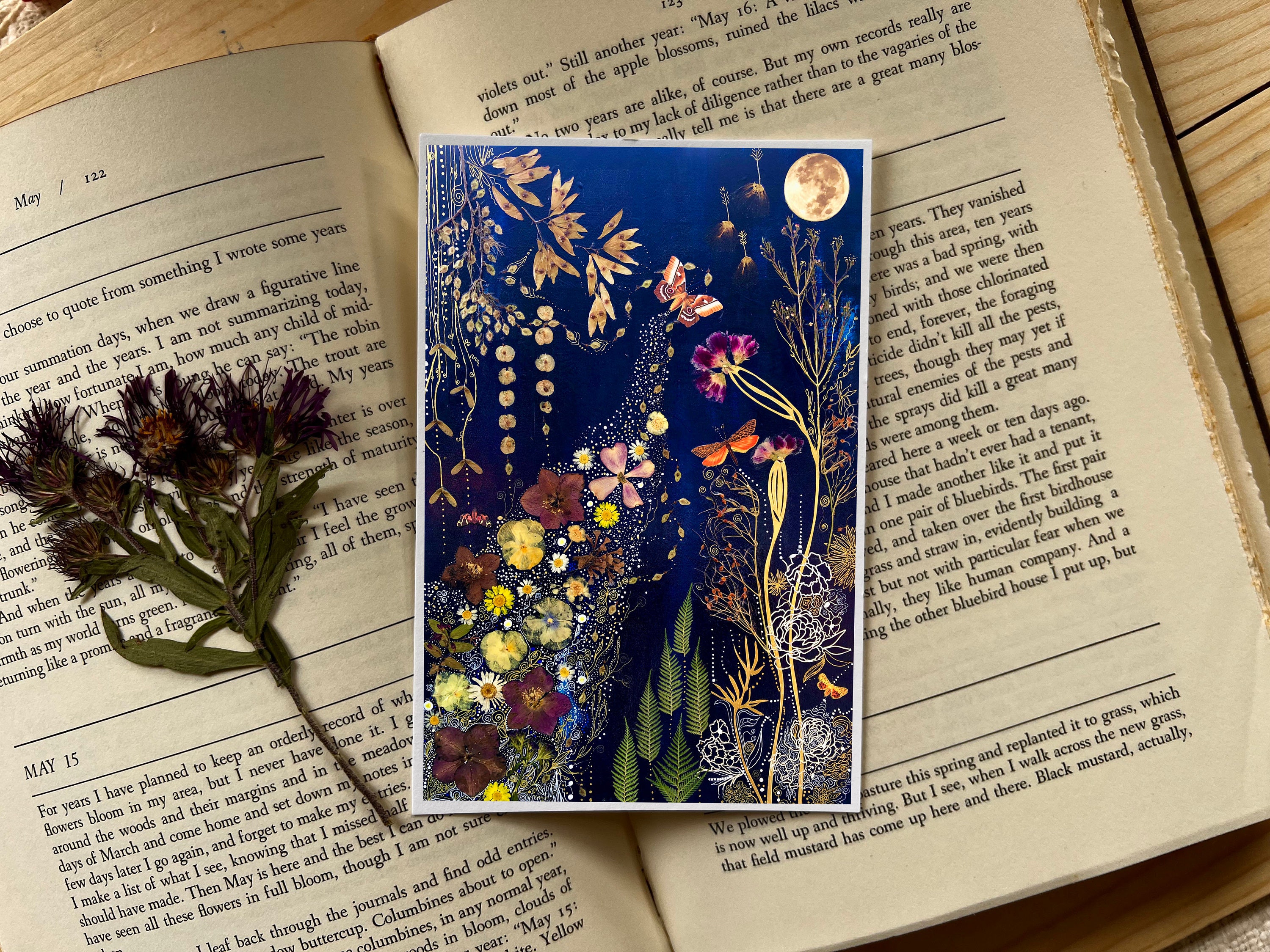 When the Moon Comes Out, Fine Art Print — Manda Marble