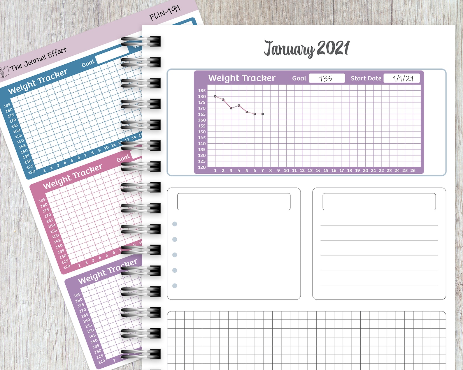 WEIGHT TRACKER Graph Planner/journal Sticker, Fun-191, Fun-192, Fun-193 ...