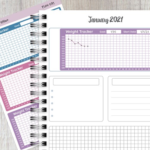 WEIGHT TRACKER Graph Planner/journal Sticker - Etsy
