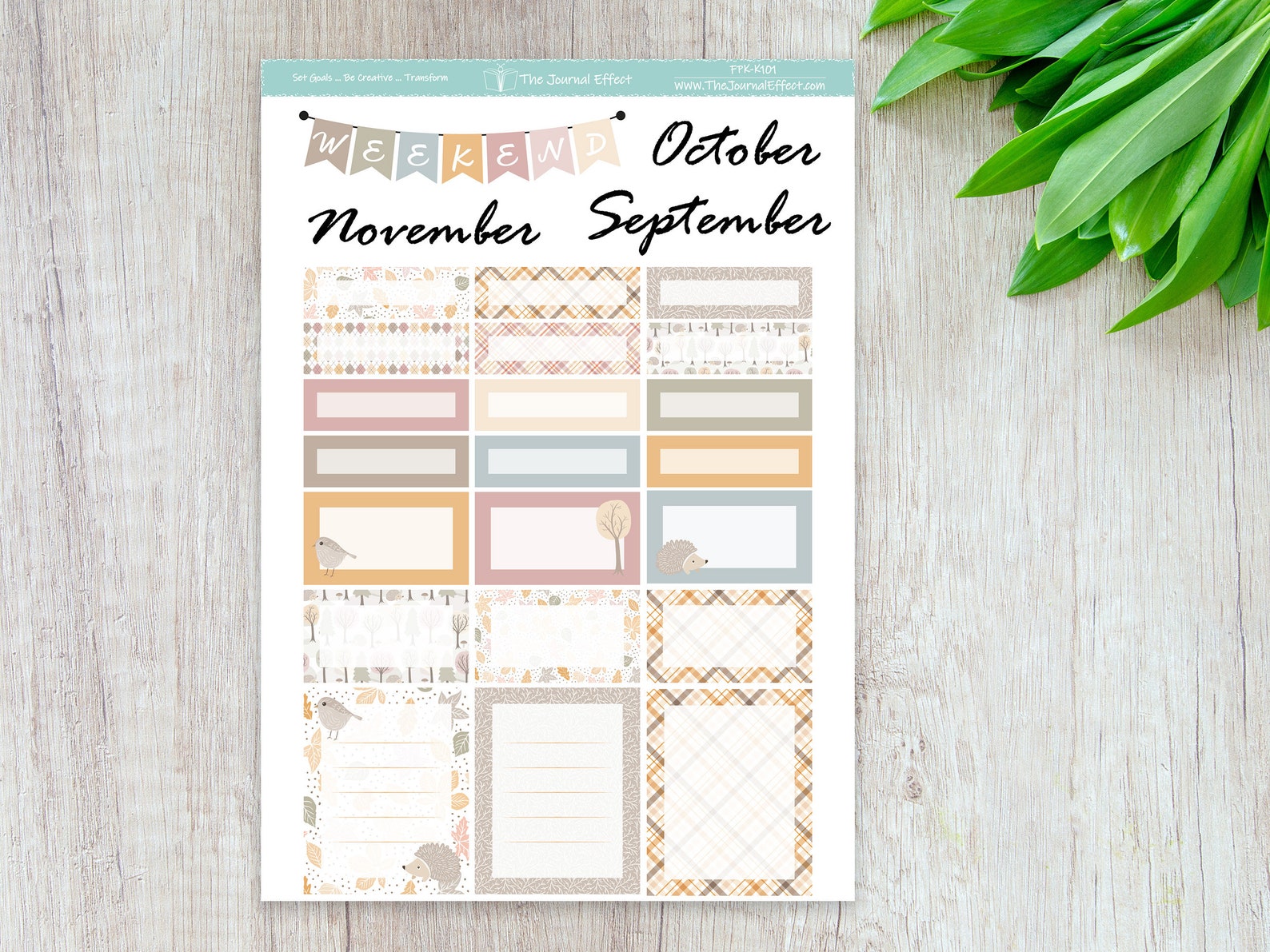 FUNCTIONAL STICKER Variety Pack, Hello Autumn, Fall Planner Stickers ...