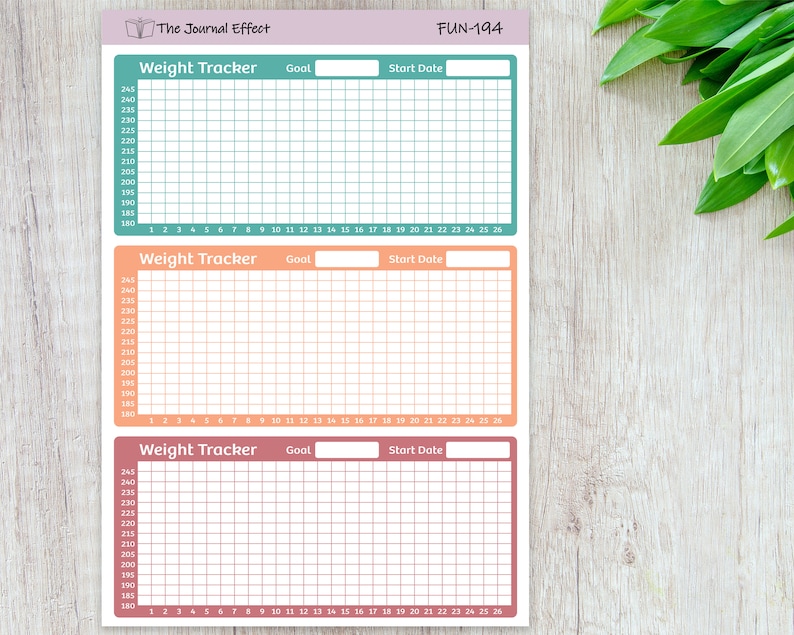WEIGHT TRACKER Graph Planner/journal Sticker, Fun-191, Fun-192, Fun-193 ...