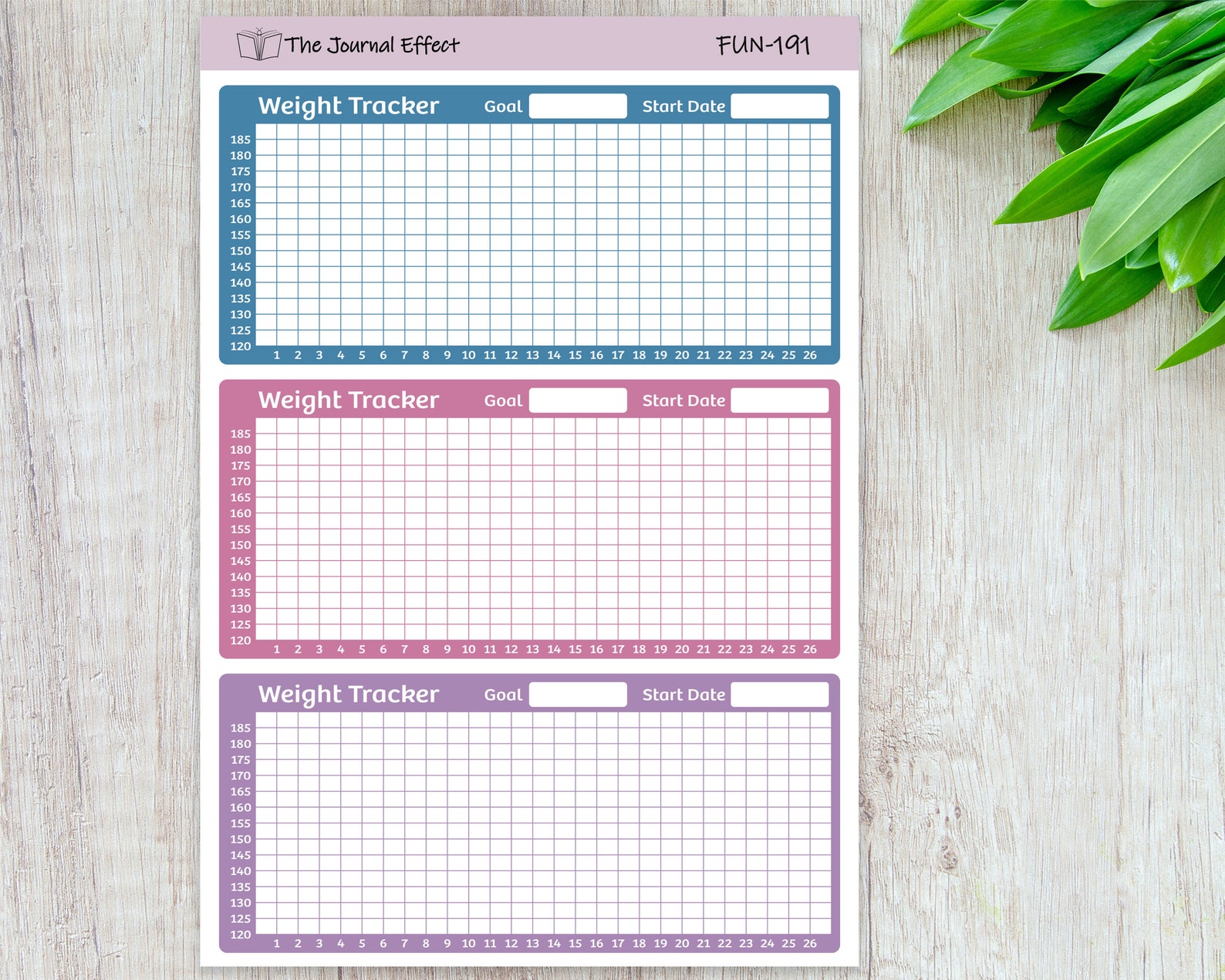 WEIGHT TRACKER Graph Planner/journal Sticker - Etsy