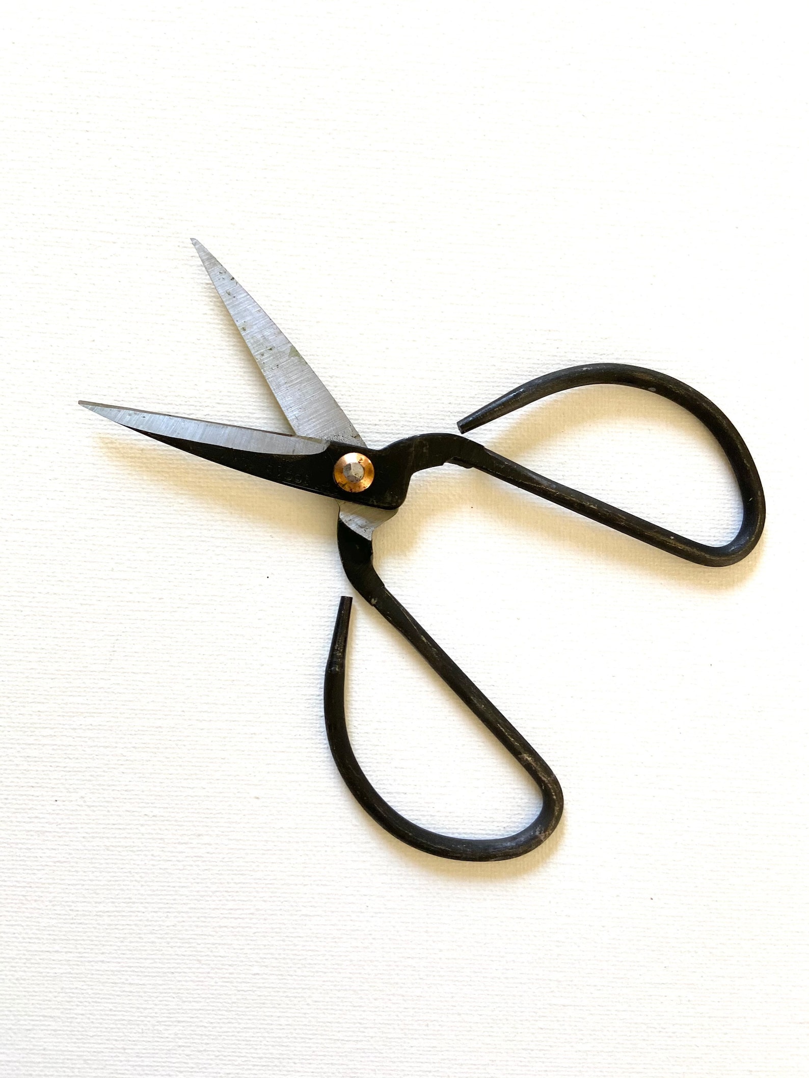 Indoor Plant Propagation Scissors | Etsy