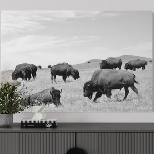 Black and White Bison Print Western Decor Buffalo Print - Etsy