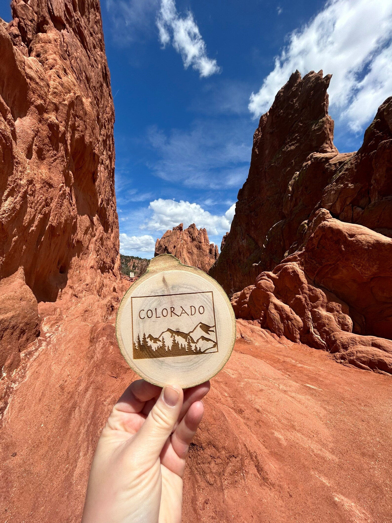 Colorado Coaster on Reclaimed Aspen Wood: Colorado Trip Souvenir or ...