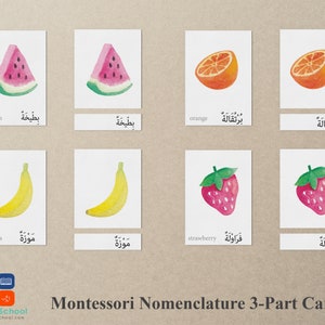 FRUITS in Arabic English Montessori Cards Flash Cards Three Part Cards ...
