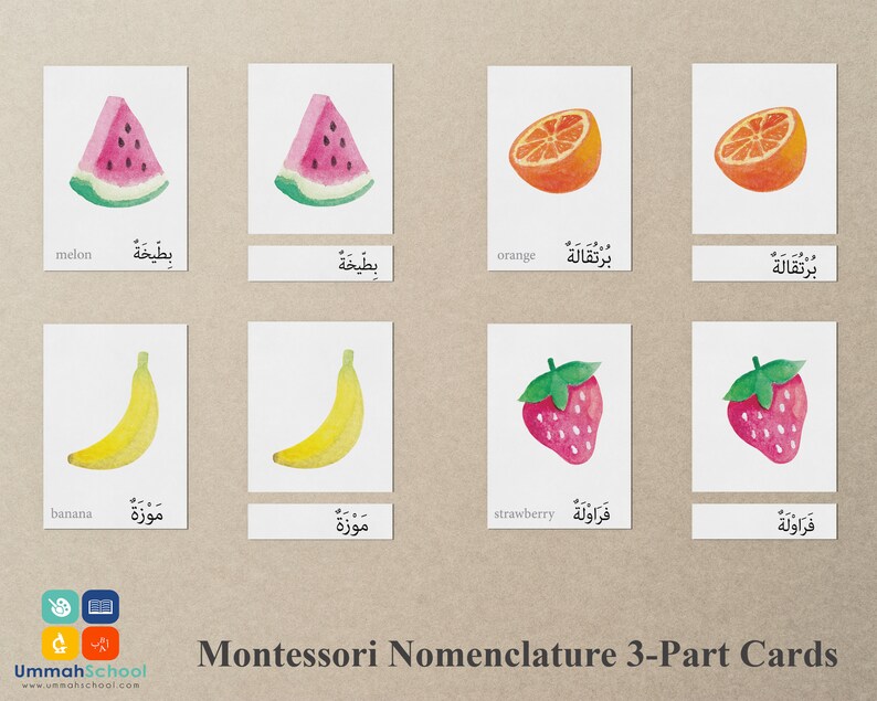 FRUITS in Arabic English Montessori Cards Flash Cards Three Part Cards ...