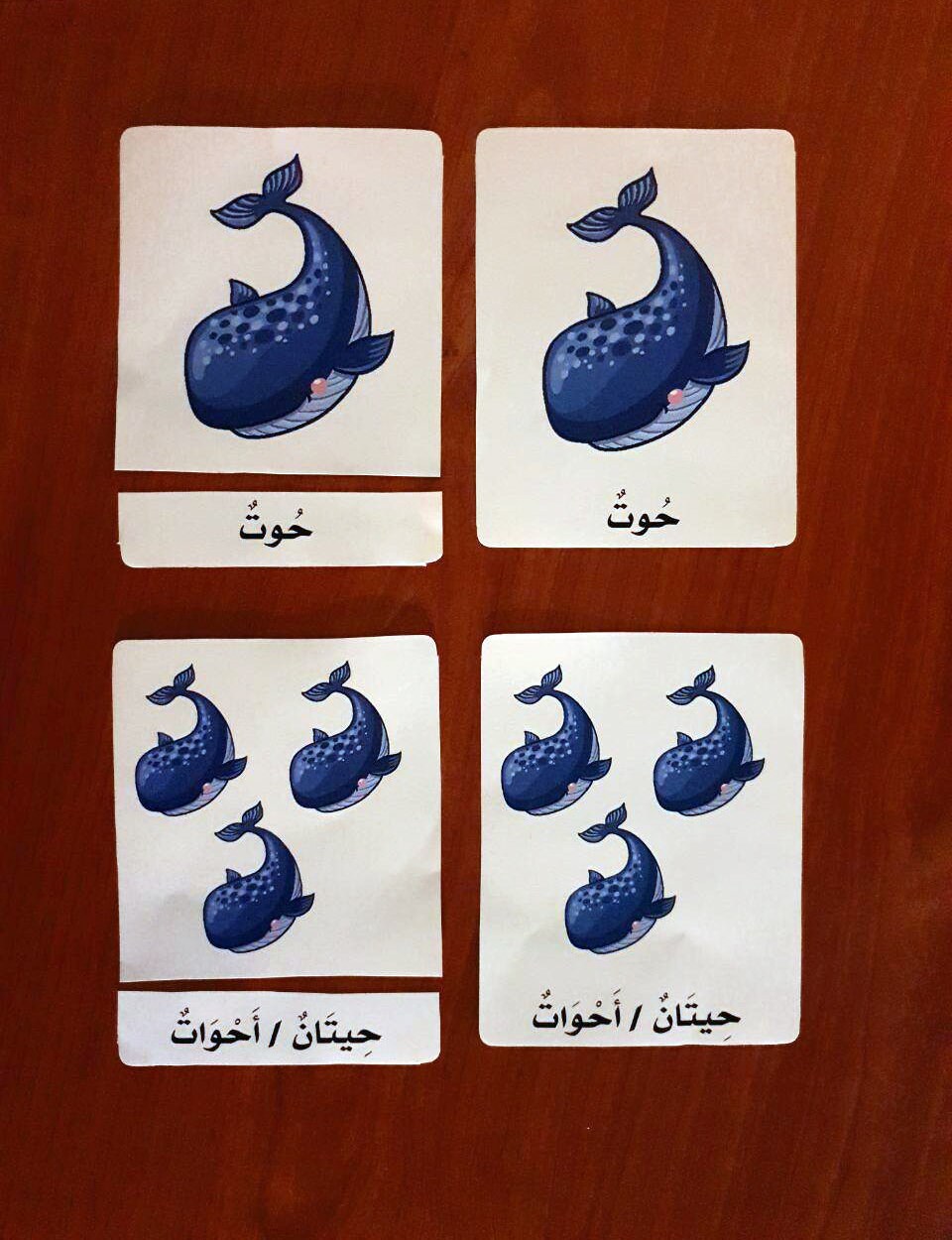 Sea Animals in Arabic Singular & Plural Montessori Cards - Etsy