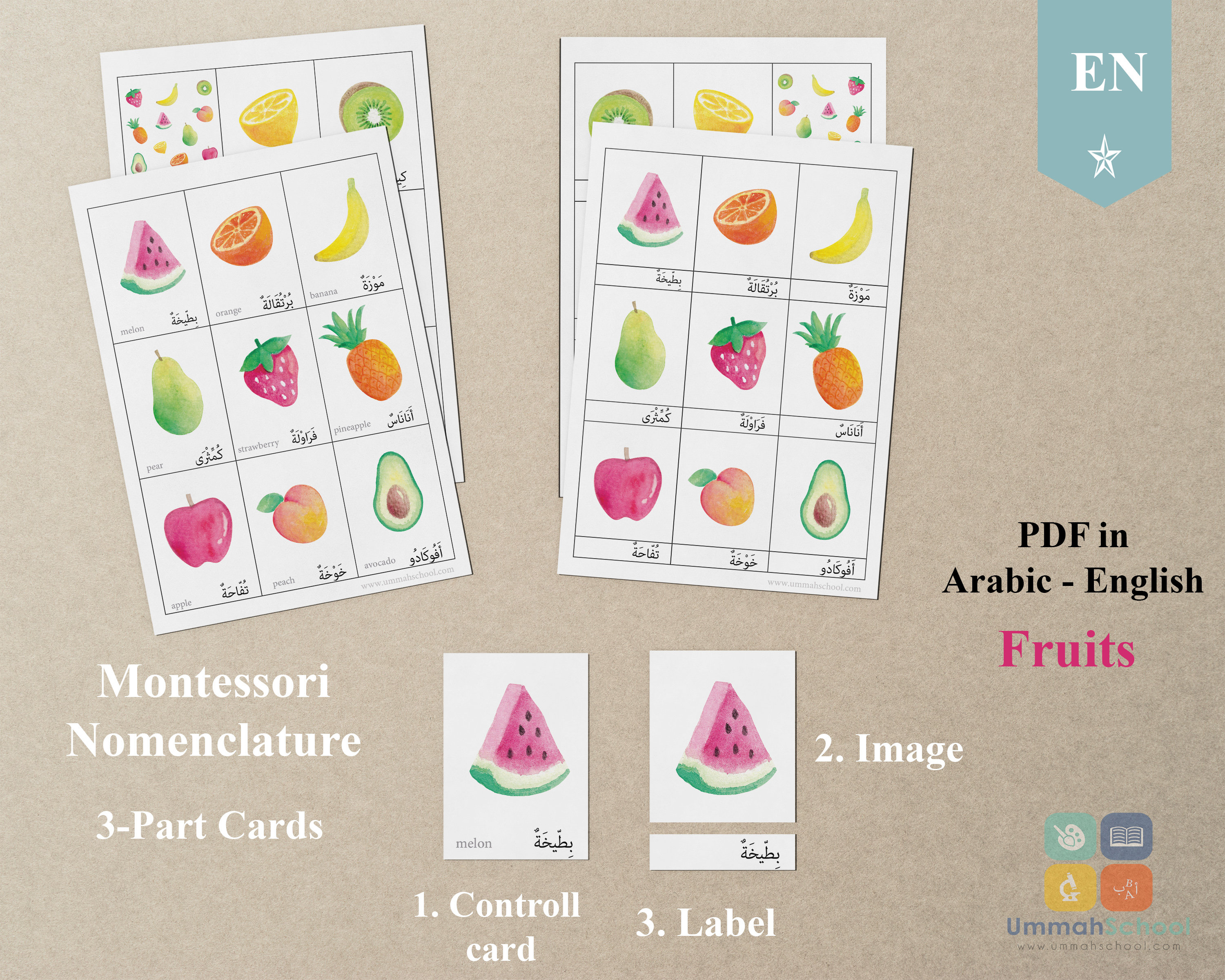FRUITS in Arabic English Montessori Cards Flash Cards Three Part Cards ...
