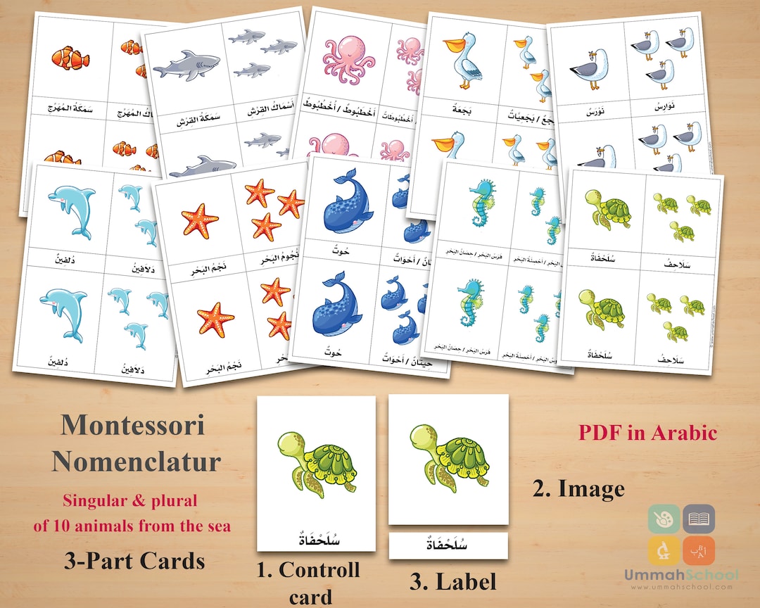 Sea Animals in Arabic Singular & Plural Montessori Cards - Etsy