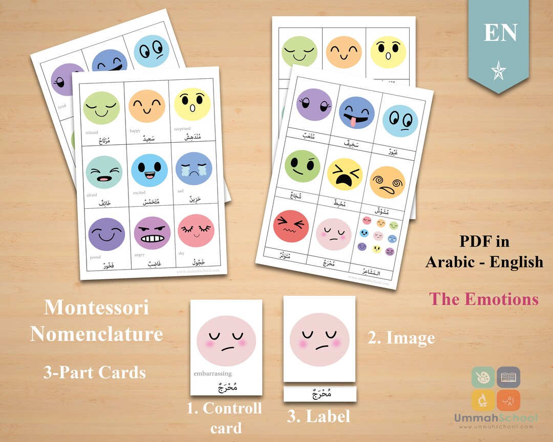 18 ÉMOTIONS en arabe anglais Cartes Montessori Cartes - Etsy France