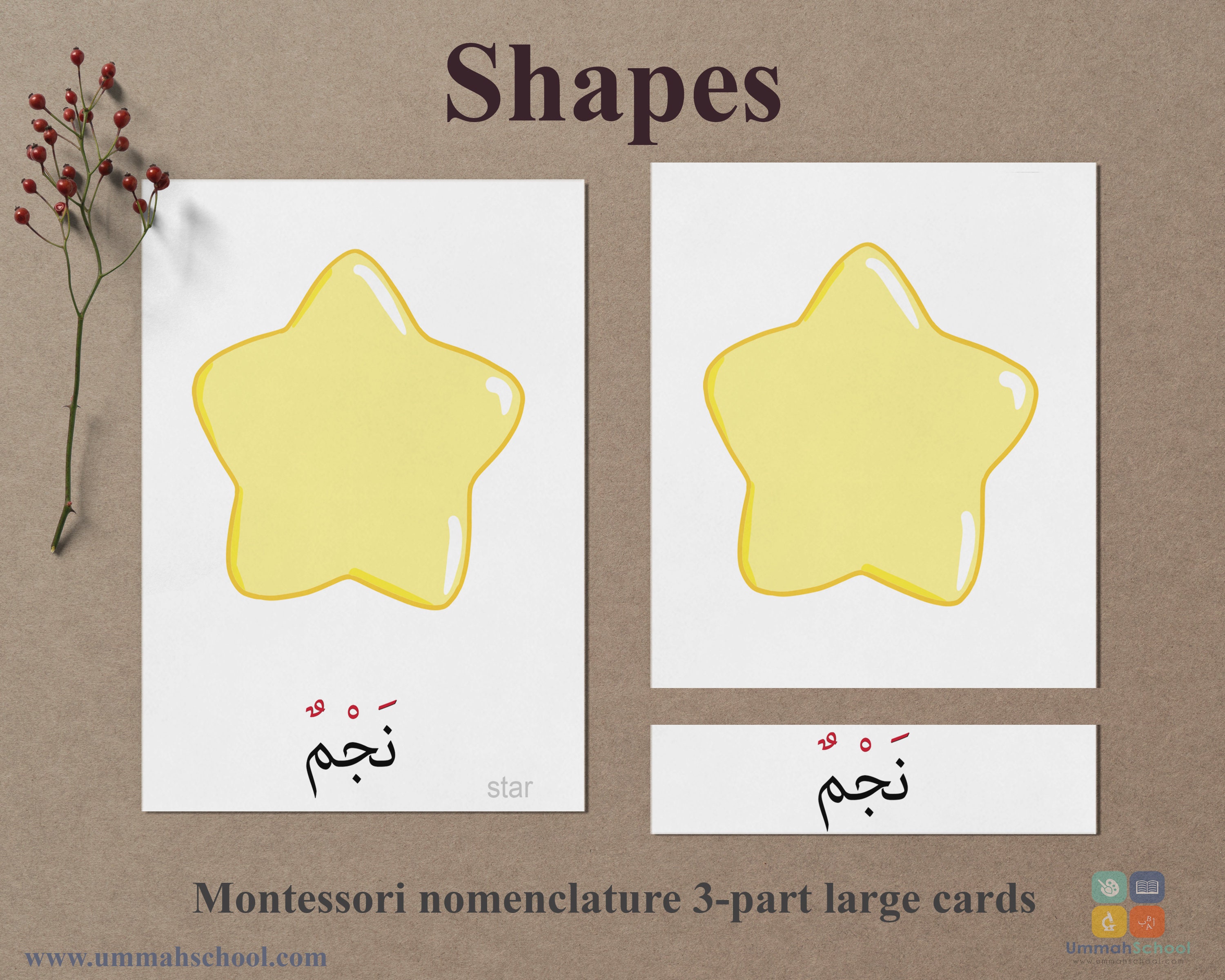 10 Large SHAPES in Arabic English Montessori Cards Flash Cards Three ...
