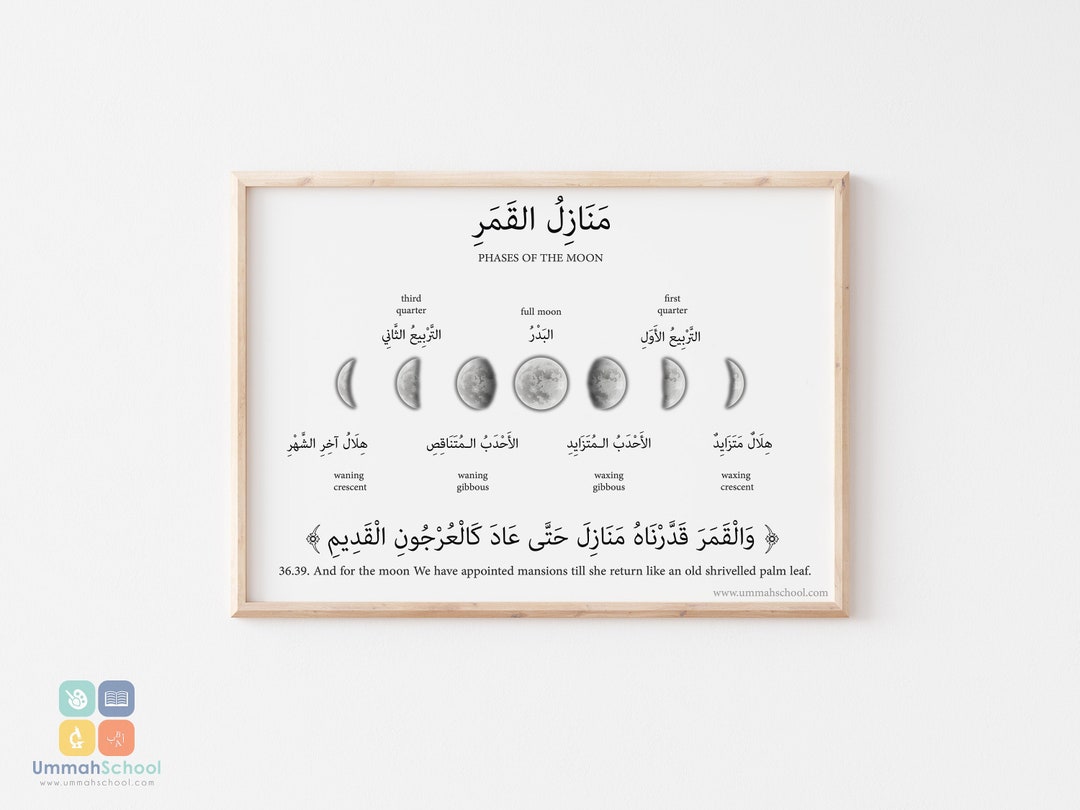 Phases of the Moon in Arabic English Children Learning Posters Children ...