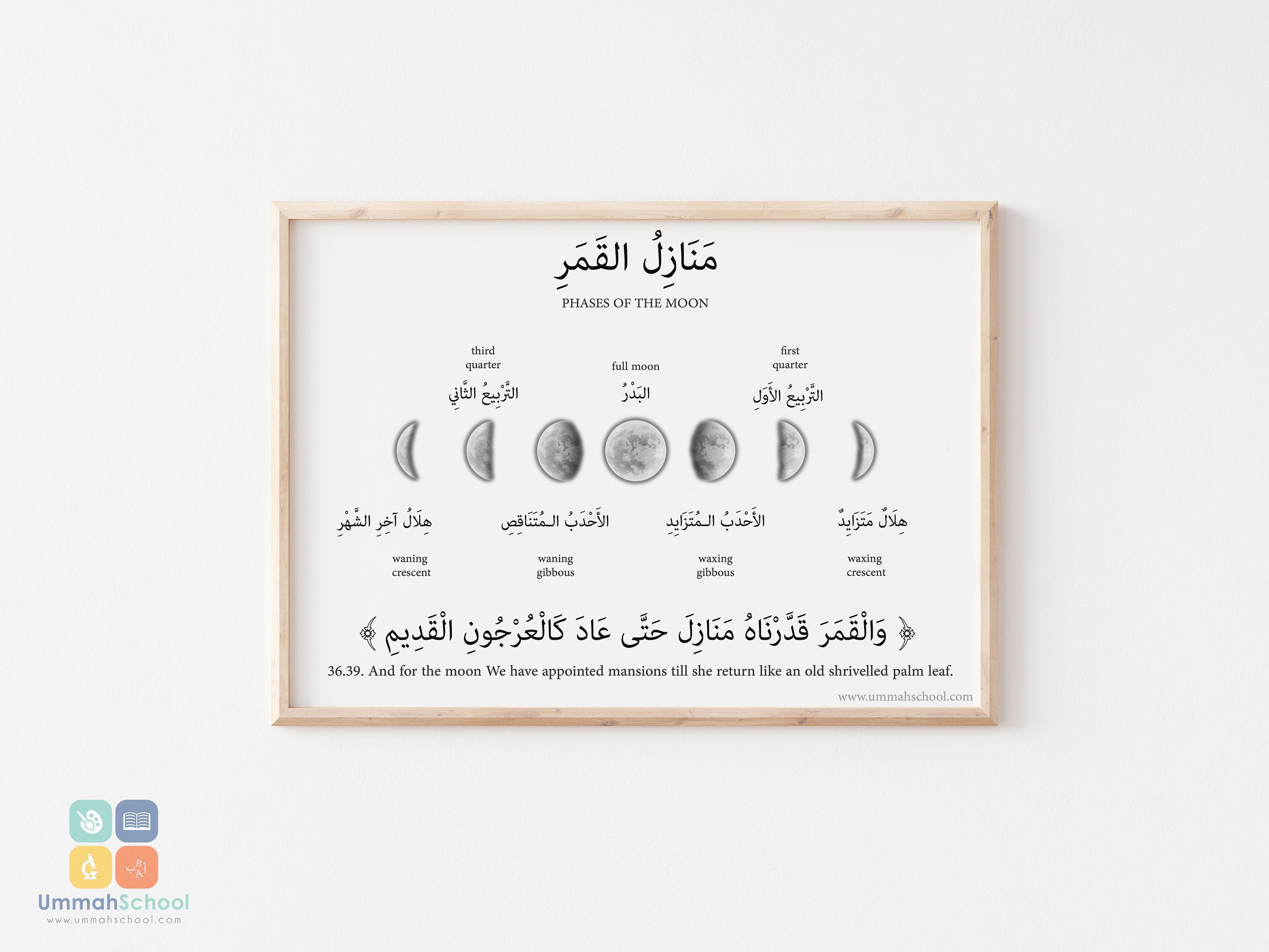 Phases of the Moon in Arabic English Children Learning - Etsy Australia