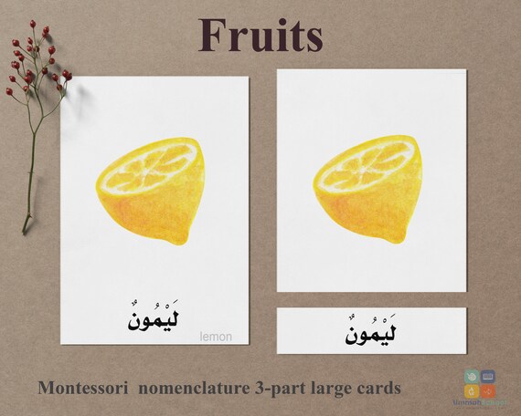 12 large FRUITS in Arabic English Montessori Cards Flash | Etsy