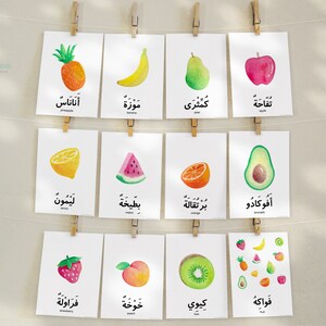 Flash Cards: FRUITS Arabic-english Memory Cards - Etsy