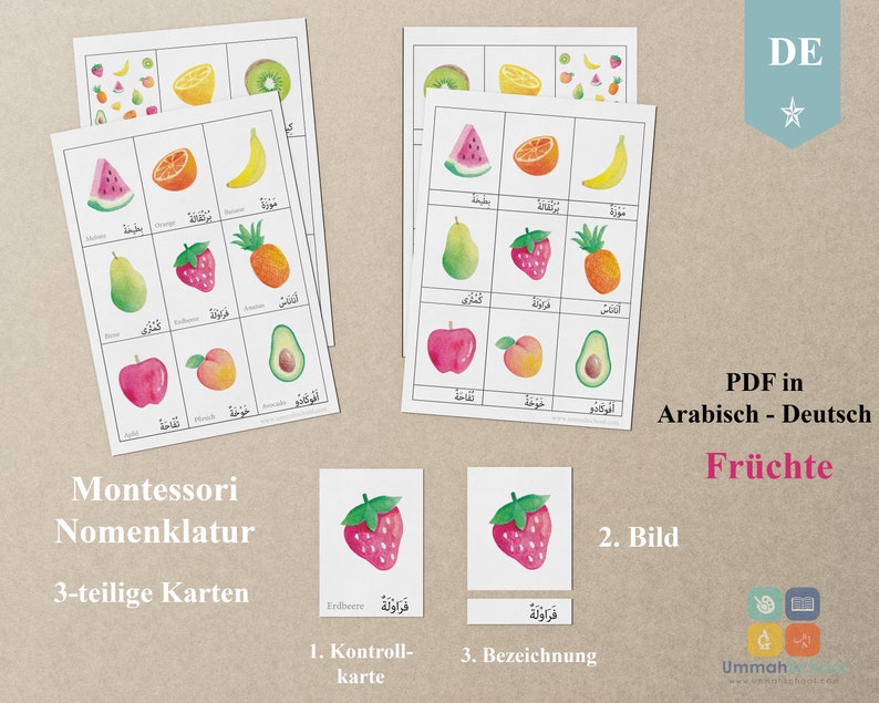 12 FRUITS in Arabic - German • Montessori Cards • Flash Cards • Three ...