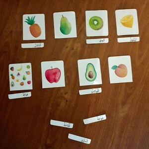 FRUITS in Arabic English Montessori Cards Flash Cards Three Part Cards ...