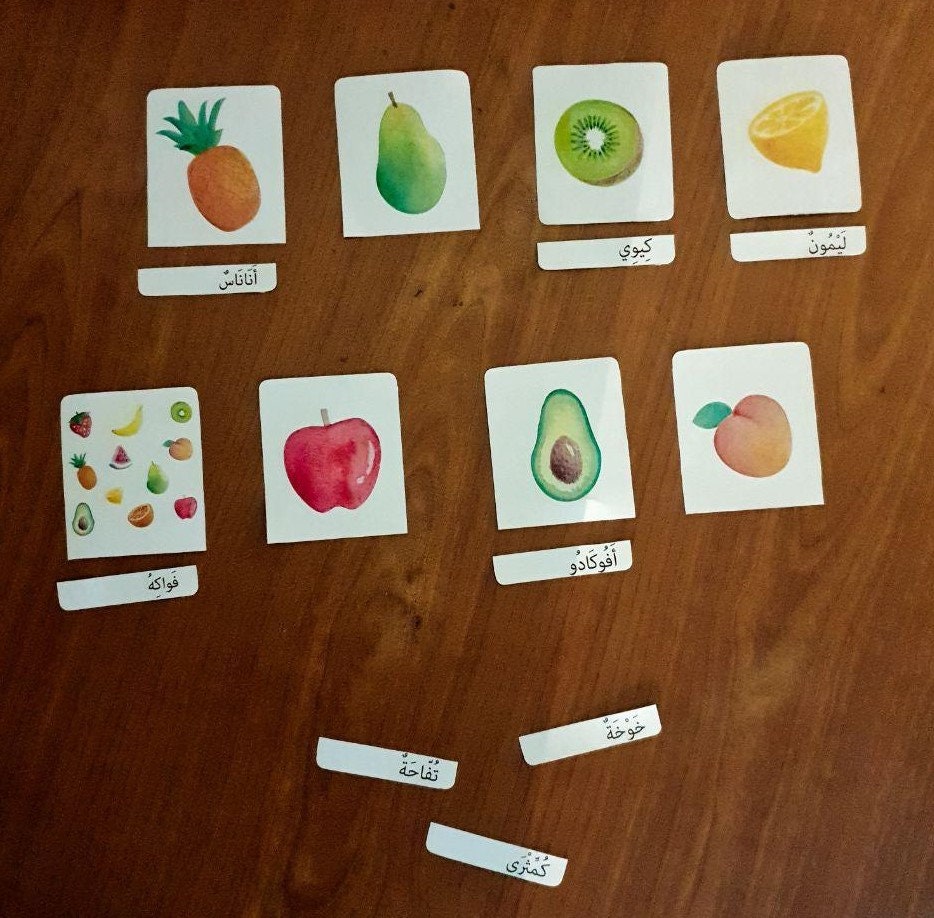 FRUITS in Arabic English Montessori Cards Flash Cards Three Part Cards ...