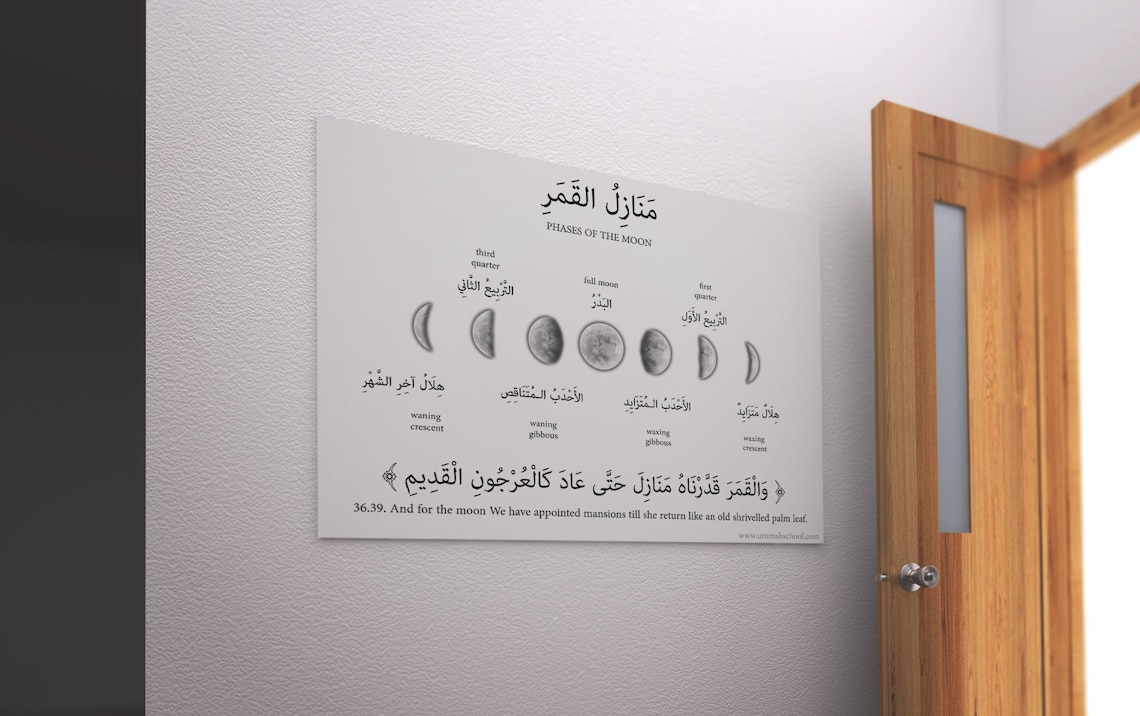 Phases of the Moon in Arabic English Children Learning - Etsy Israel