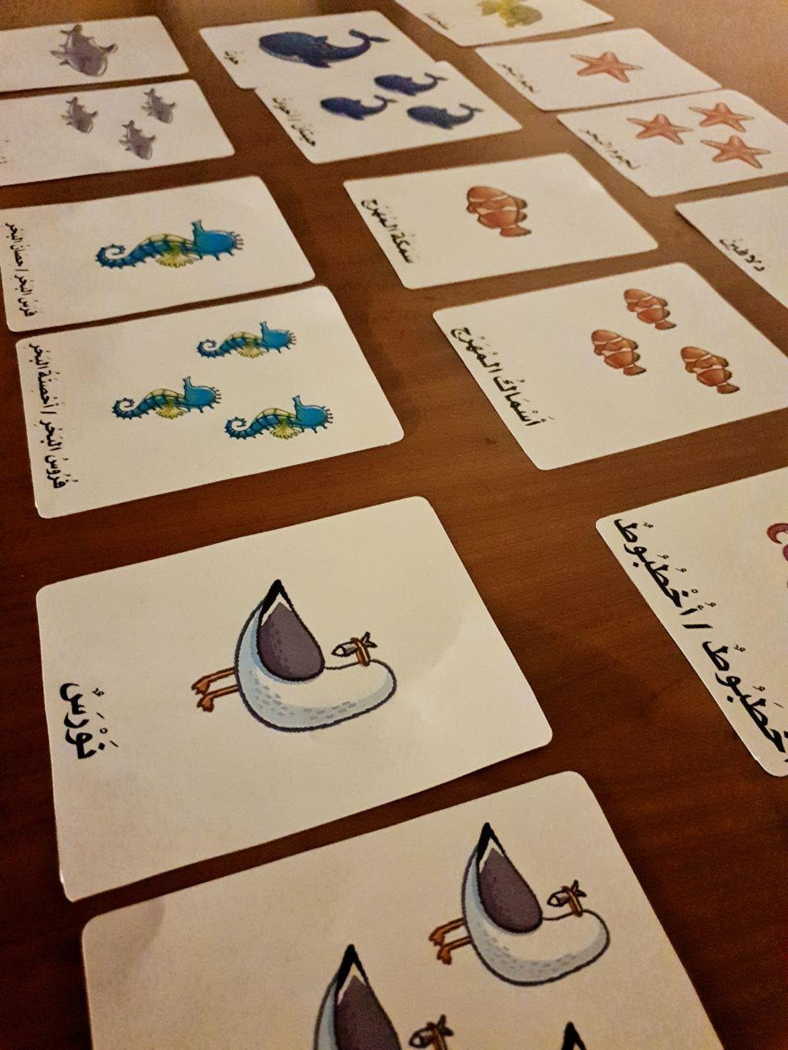 Sea Animals in Arabic Singular & Plural Montessori Cards - Etsy